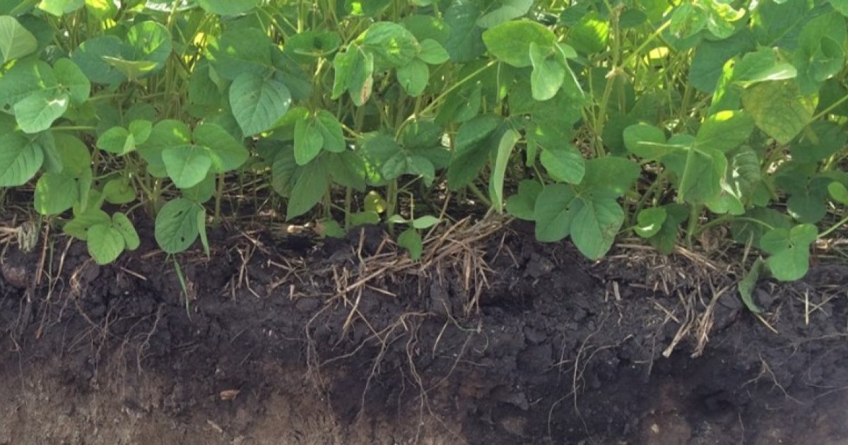 For Members | Soil Science Society of America